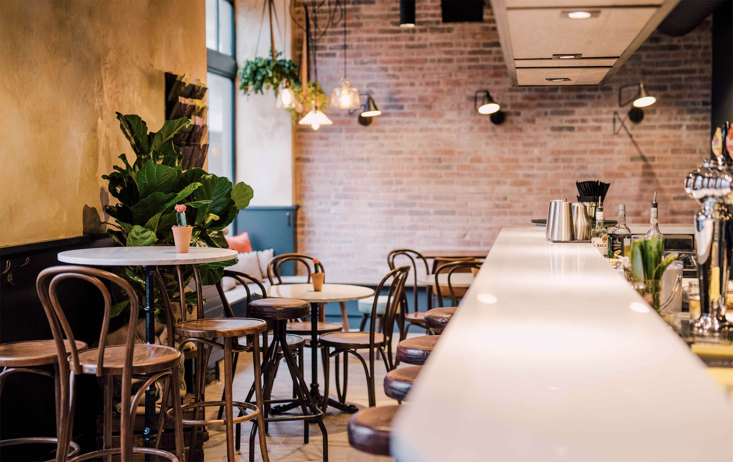 Working café & tapas, Latino resto & vino, Cocktail bar & tapas, Brunch ...